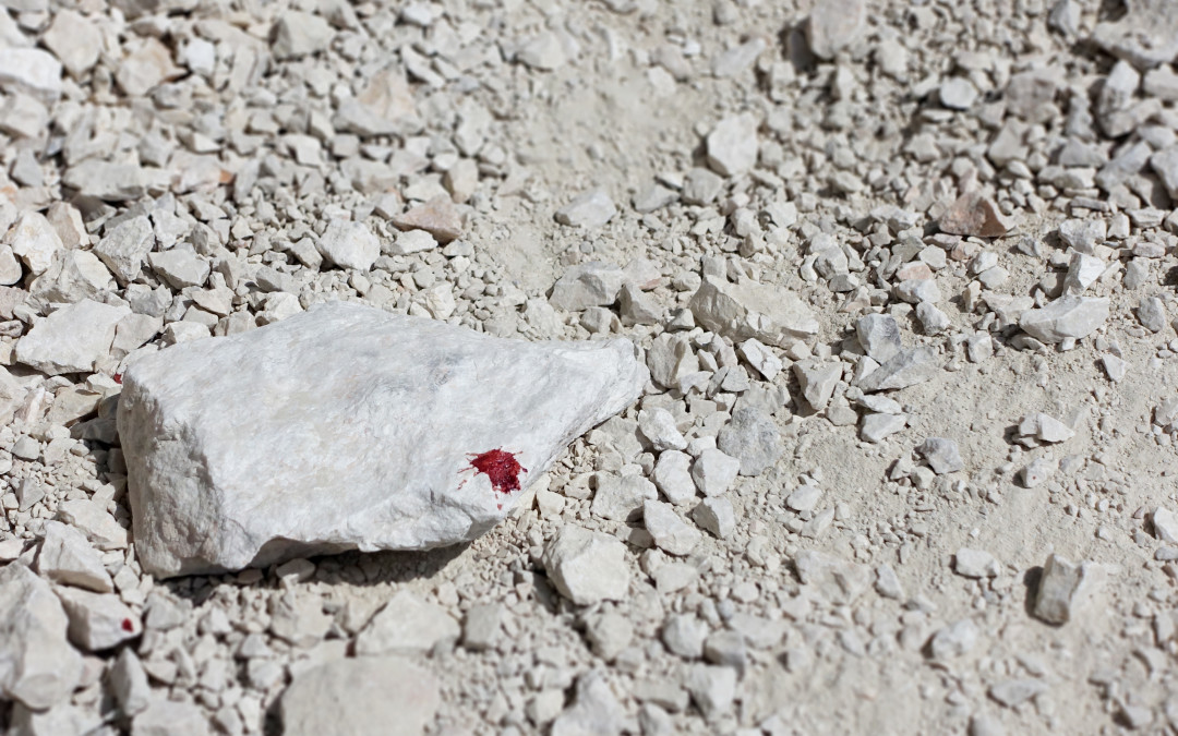 Sončen, lep a hkrati nor vikend | Vodnistvo.si